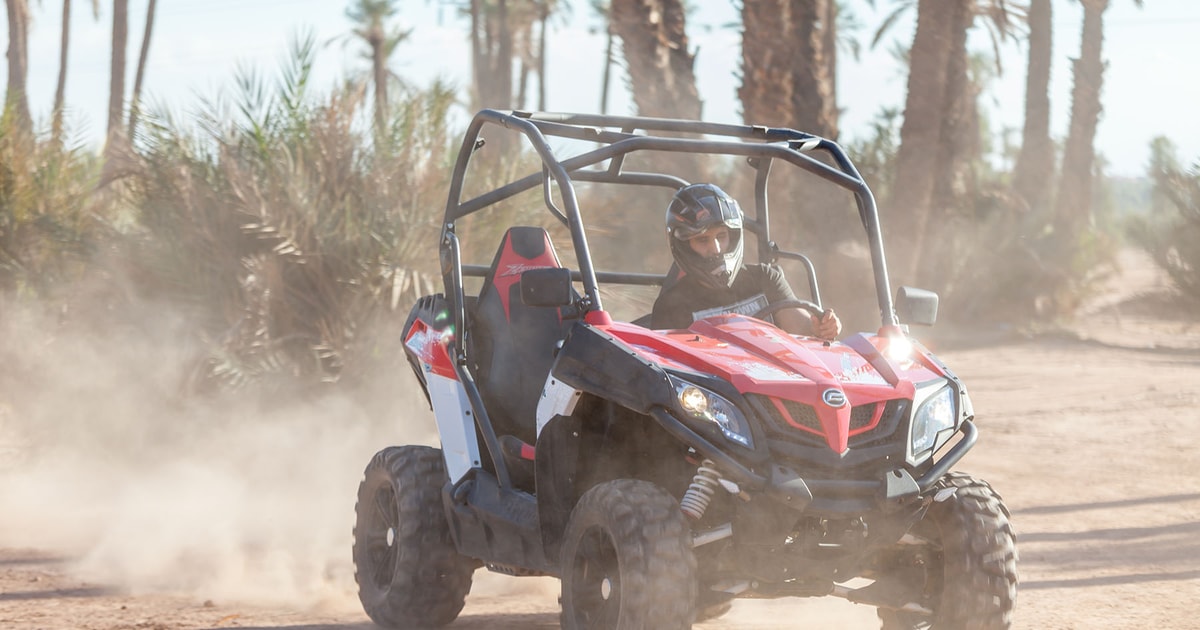Marrakech Buggy Tour at the palmgroves | GetYourGuide