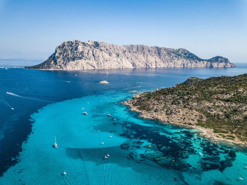 San Teodoro: Diving in the Marine Protected Area of Tavolara | GetYourGuide