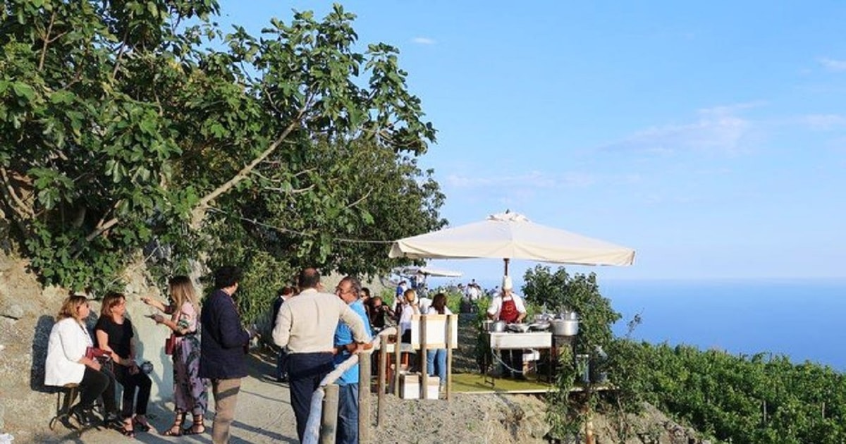 Ischia: Vineyard Tour & Wine Tasting Experience w/ Transfers | GetYourGuide