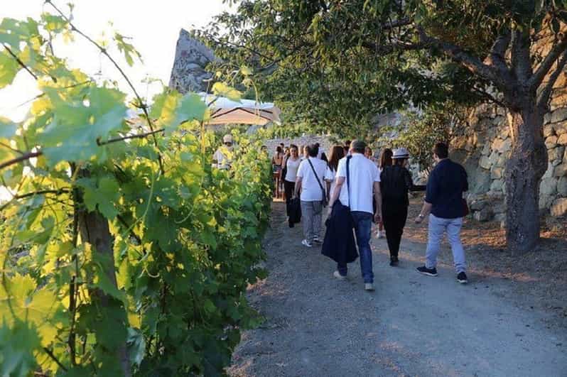 Ischia: Vineyard Tour & Wine Tasting Experience w/ Transfers | GetYourGuide