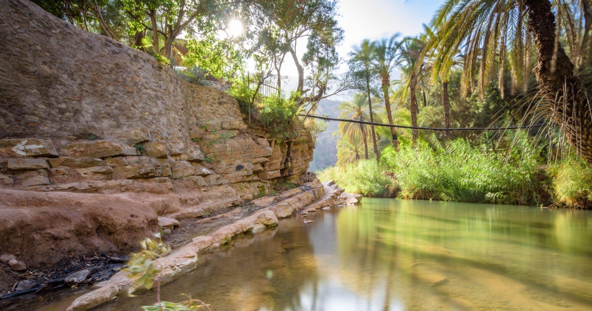 Agadir/Taghazout/Tamraght: zwemtocht door Paradise Valley | GetYourGuide