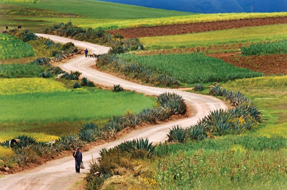 From Cuzco: Maras, Moray, And Salt Mine Private Tour | GetYourGuide