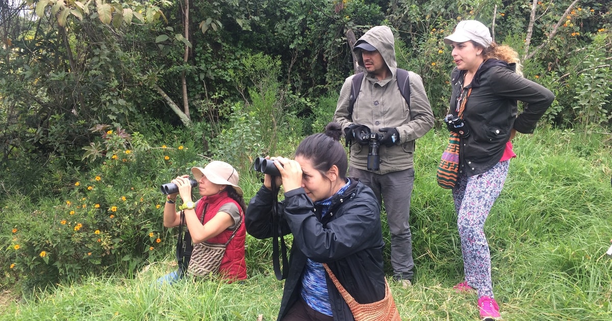 Excursión de un día para observar aves en el Parque Natural de Chicaque ...
