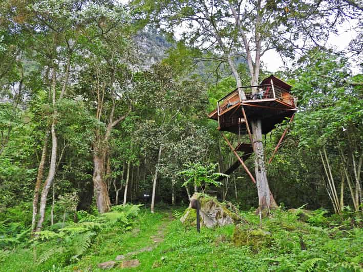 Excursión de un día para observar aves en el Parque Natural de Chicaque ...