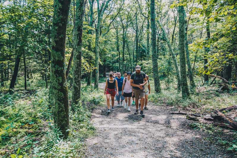 From Asheville: 3-Day Track and Backpack Appalachian Trail | GetYourGuide