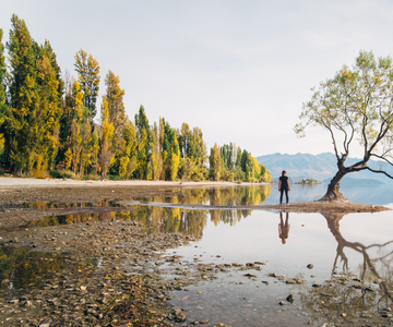 The BEST Things to Do in Wanaka - Top Activities in 2024 | GetYourGuide