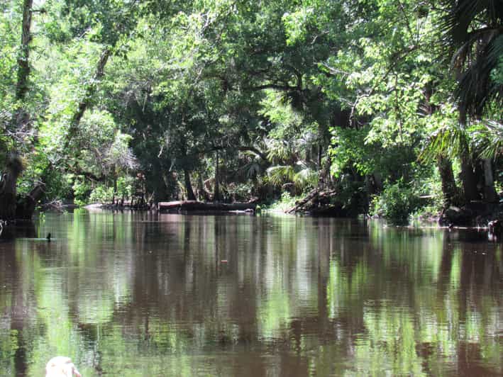 Orlando Kayak Tour: Blackwater Creek Scenic River with Lunch | GetYourGuide