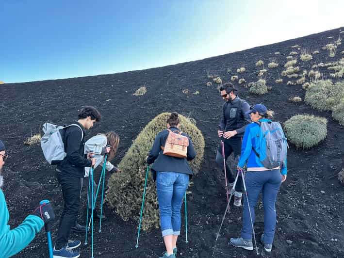 Mount Etna Excursion + Visit to the Lava Tubes | GetYourGuide