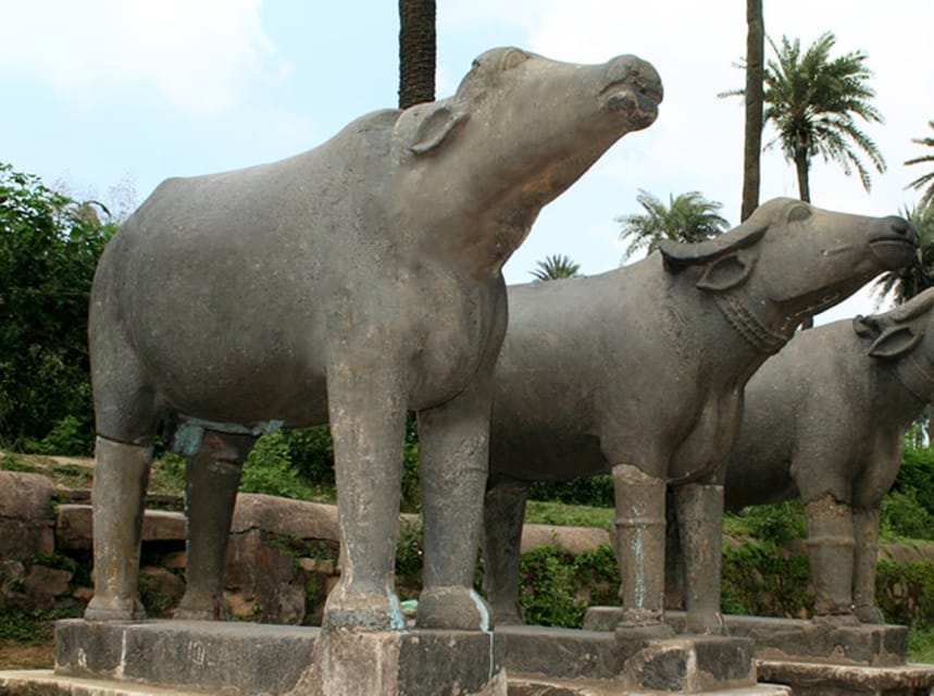 Same Day Tour Of Mount Abu From Udaipur | GetYourGuide