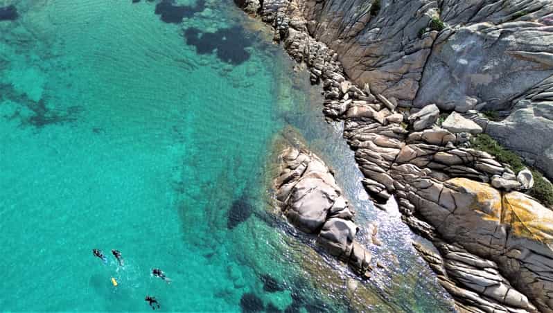 Tavolara and Molara Private Snorkelling and Diving Tour | GetYourGuide