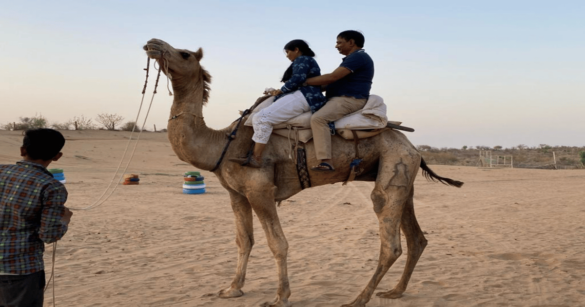 From Jodhpur: Half-Day Tour, Camel Ride, & Dinner in Osian | GetYourGuide