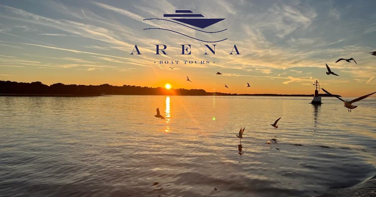 Pula: Brijuni Dolphin Watching Tour & Sunset, Dinner, Drinks | GetYourGuide