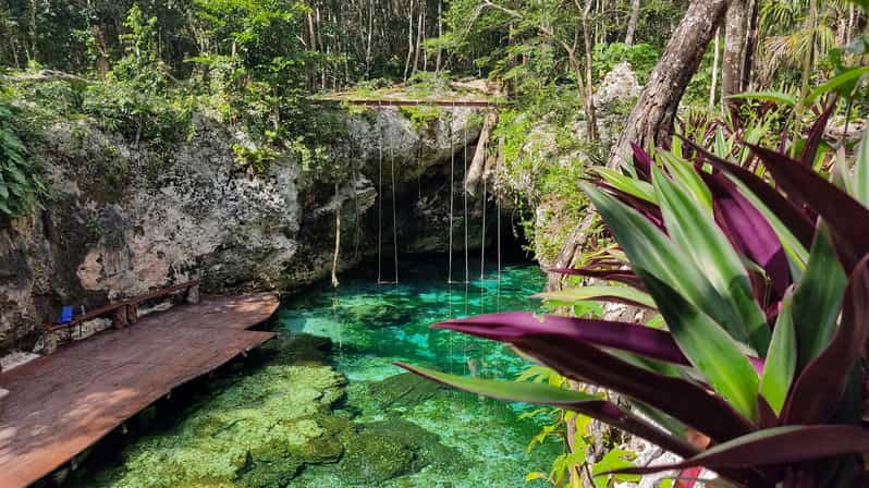 Riviera Maya: Tulum Ruins and 2 Cenotes Half-Day Tour | GetYourGuide