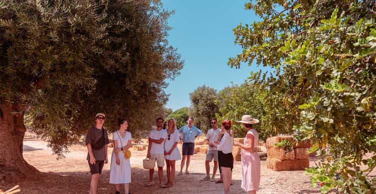 Tour + Food Tasting | GetYourGuide