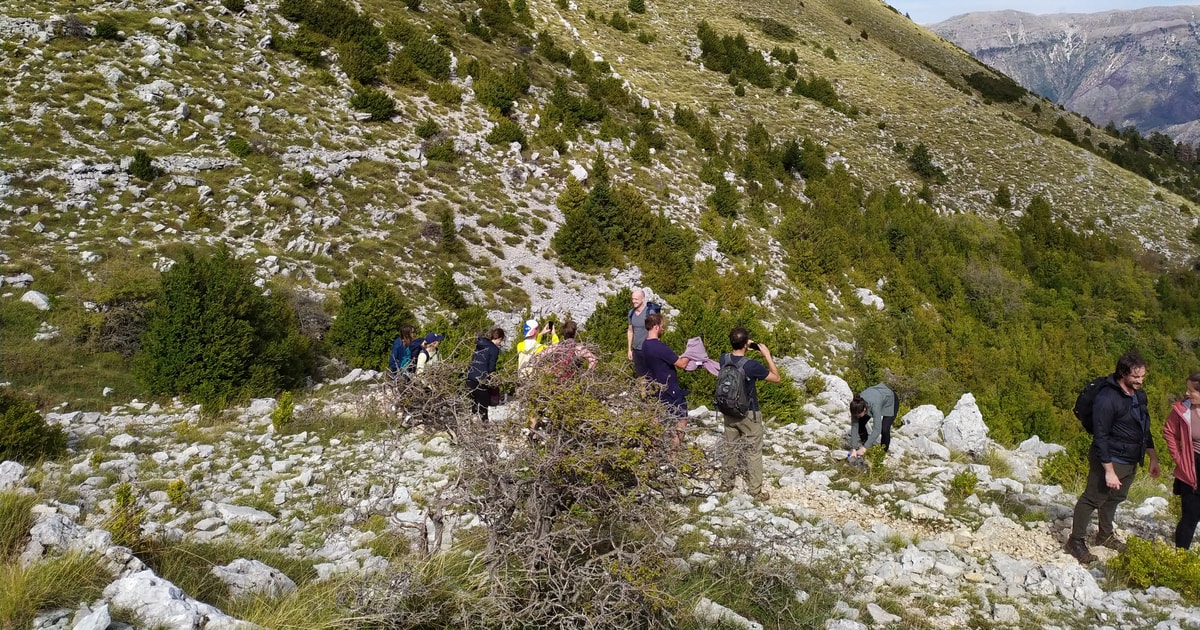 Vlore : Llogara National Park Infocenter to Deep Neck | GetYourGuide