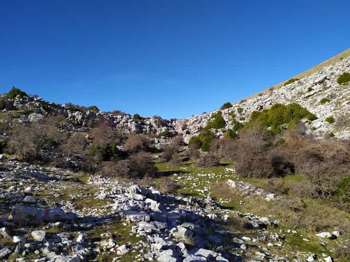 Vlore : Llogara National Park Infocenter to Deep Neck | GetYourGuide