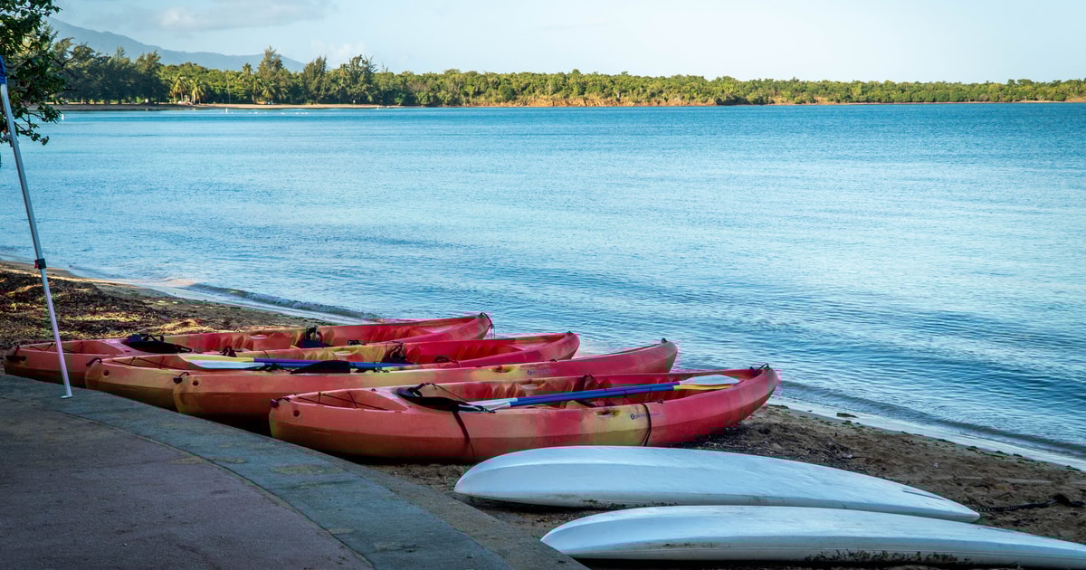 Paddleboard Rental | GetYourGuide