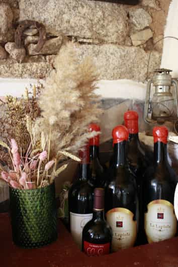 Olbia: μάθημα ζυμαρικών και κρασί. Μυστικά για αιώνια νεότητα ...