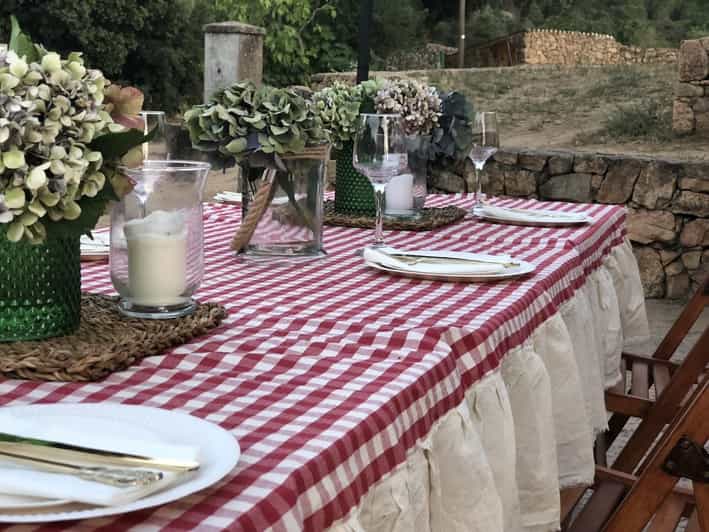 Olbia: μάθημα ζυμαρικών και κρασί. Μυστικά για αιώνια νεότητα ...