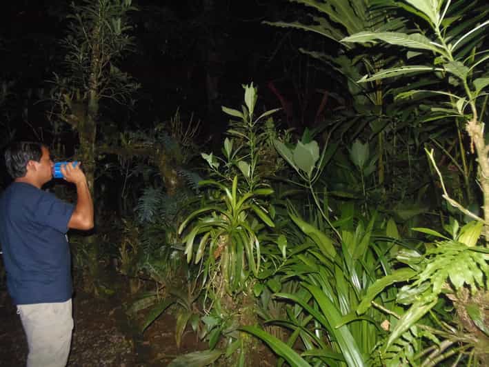 La Fortuna: Ecocentro Danaus Night Tour | GetYourGuide
