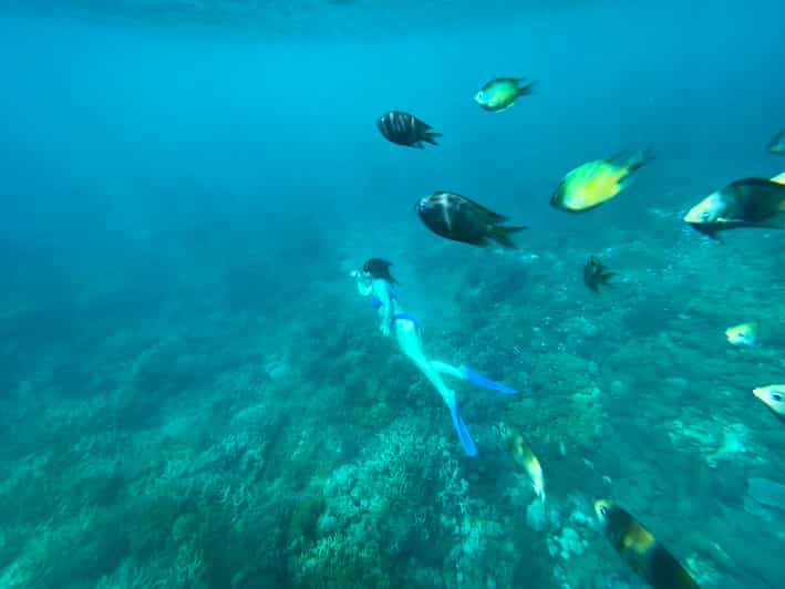 Hidden Gili's Lombok Snorkeling Daily Tour | GetYourGuide