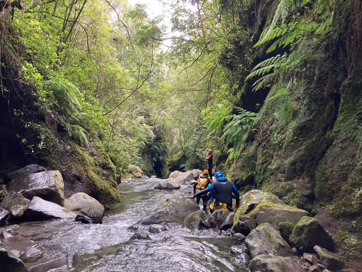 Madeira: "Lokoloko" Canyoning Level 1 | GetYourGuide