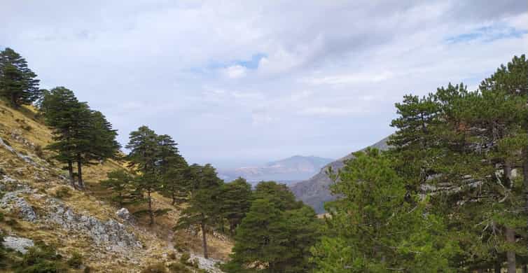 Valona Escursionismo: il MEGLIO del 2023 - Cancellazione GRATUITA ...