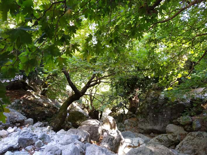Vlore : The forgotten caravans routes in the mountains | GetYourGuide