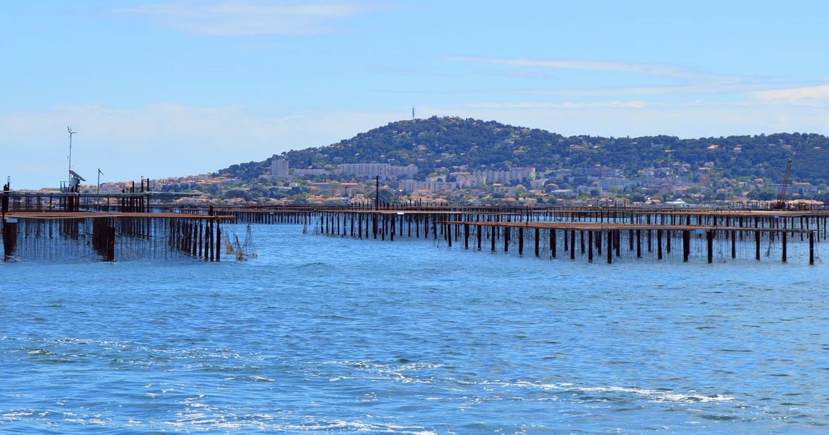 Boat trip in the canals is on the Thau pond | GetYourGuide