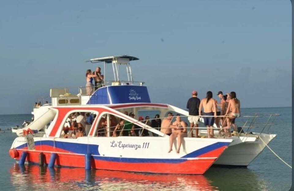 Party Boat Booze Cruise with Snorkling | GetYourGuide