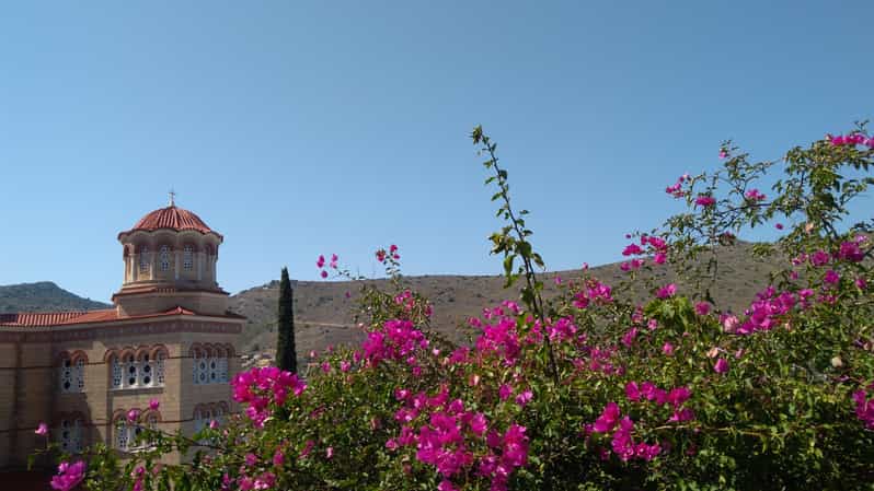 Aegina Island & Temple of Athina Aphaia Private Day Tour | GetYourGuide