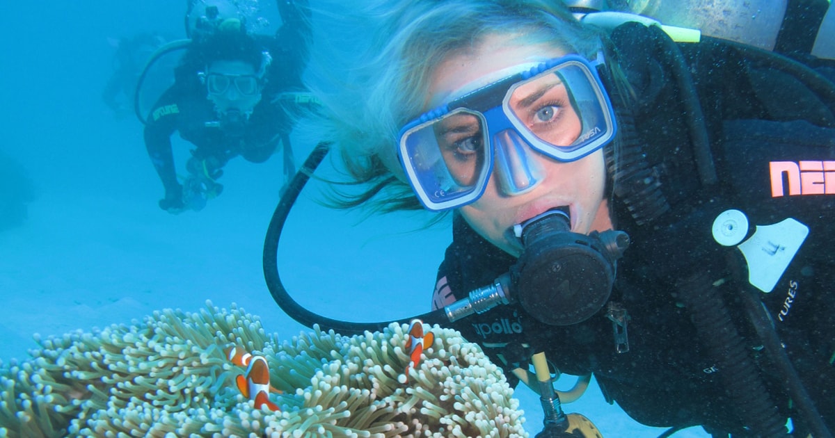 Cesme: Scuba Diving Experience | GetYourGuide