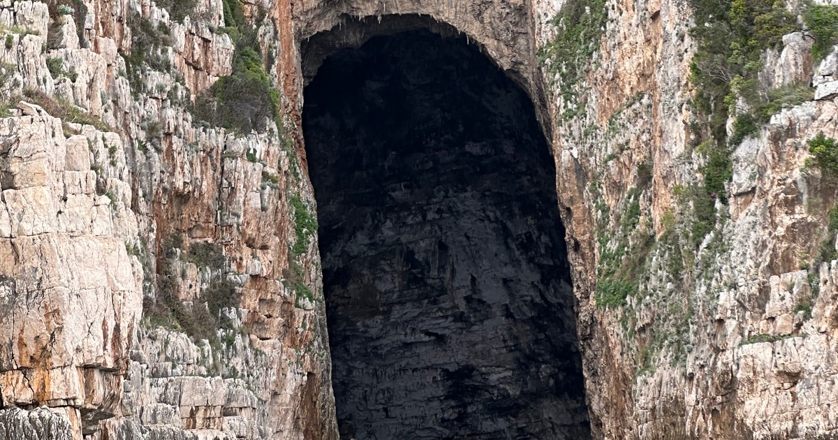 Vlore:Private Speedboat Tour to Haxhi Ali Cave | GetYourGuide