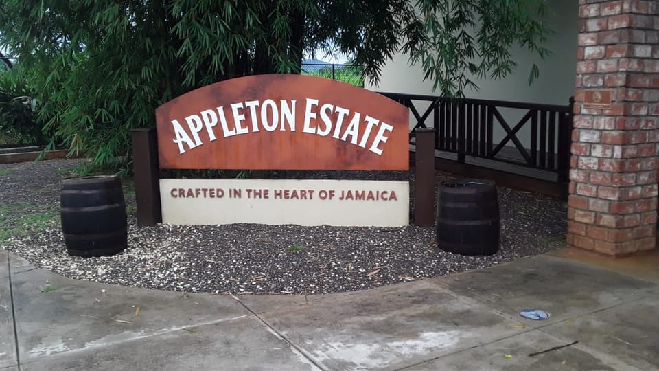 Ys Falls and Appleton Estate Private Tour | GetYourGuide