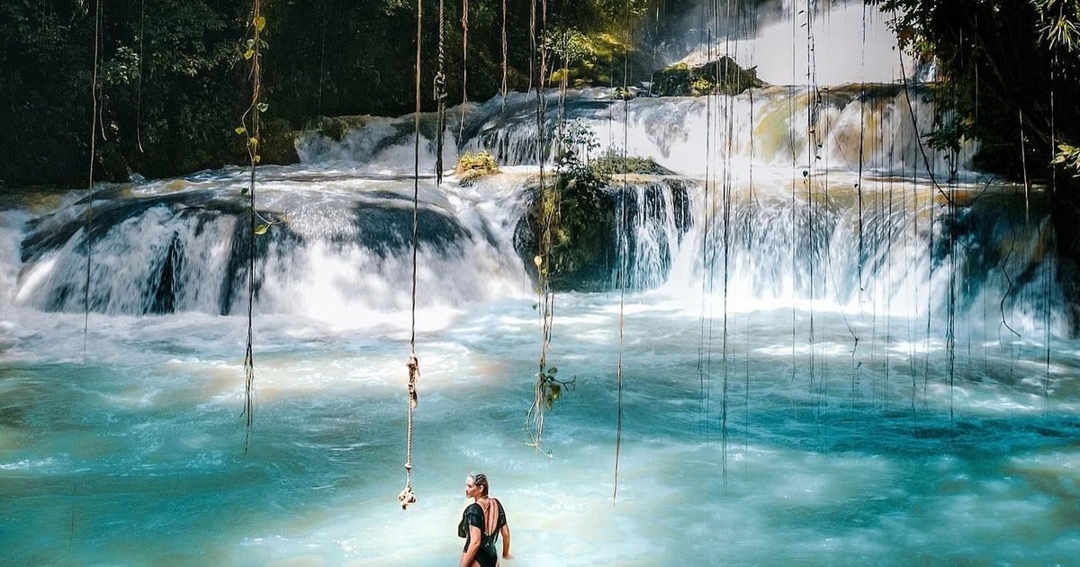 Ys Falls and Appleton Estate Private Tour | GetYourGuide