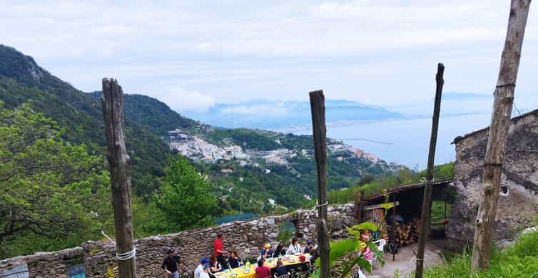 Trekking Zitrone Tour | GetYourGuide