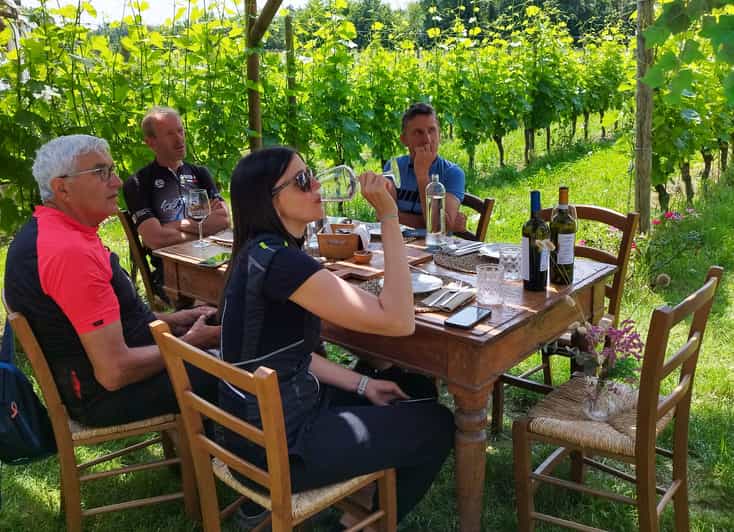 Lonato: tour and tasting of Valtenesi and Lugana wines | GetYourGuide
