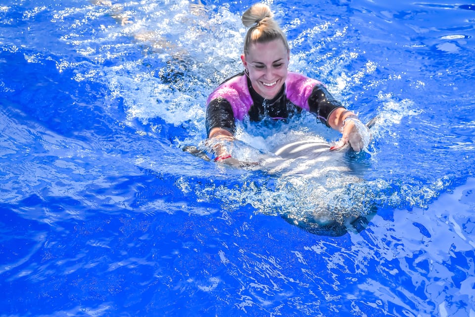 Hurghada: Dolphin World Family Swimming with pickup | GetYourGuide