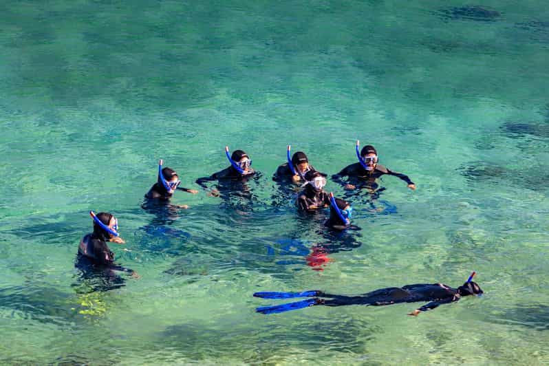 Tarifa: Guided Strait Natural Park Snorkel Tour with Photos | GetYourGuide