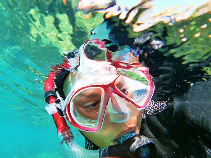 Tarifa: Guided Strait Natural Park Snorkel Tour with Photos | GetYourGuide