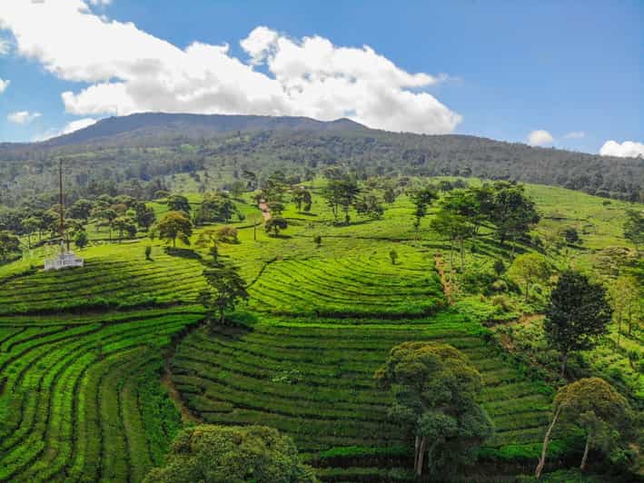 From Jakarta: Bandung Volcano Day Tour | GetYourGuide
