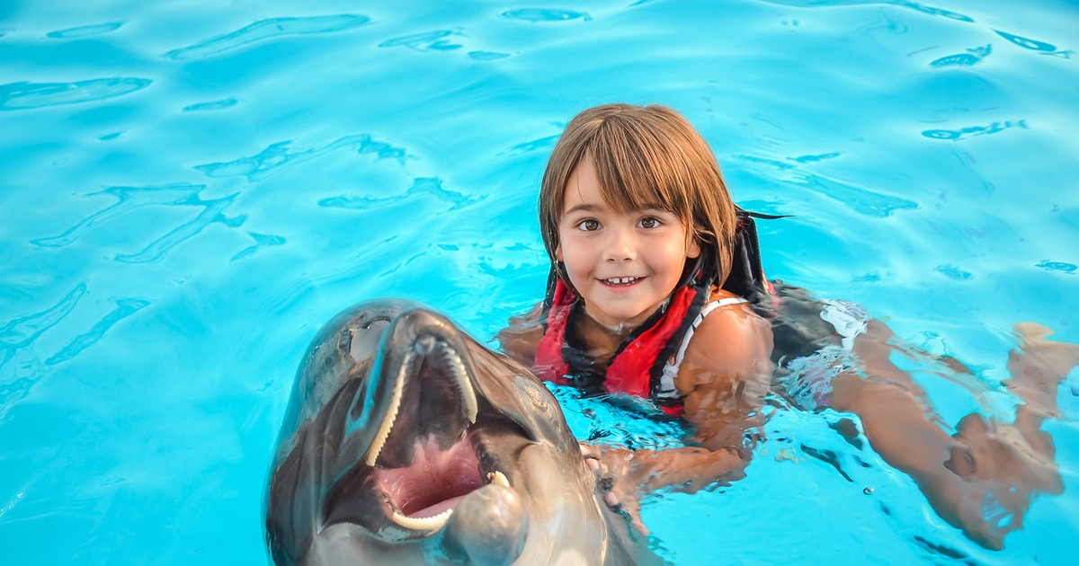 Hurghada: Dolphin World Fotosession mit Abholung | GetYourGuide