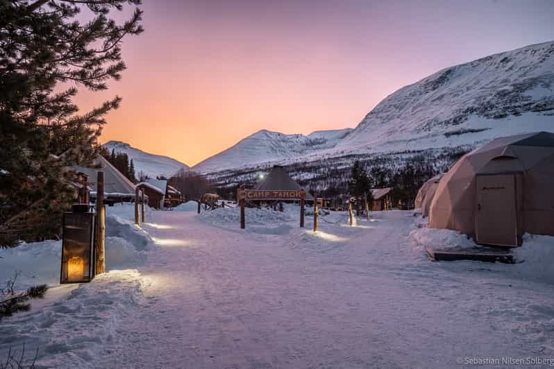 From Tromsø: Daytime Snowmobiling at Camp Tamok | GetYourGuide