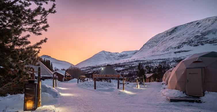 From Tromsø: Midday Snowmobiling at Camp Tamok | GetYourGuide