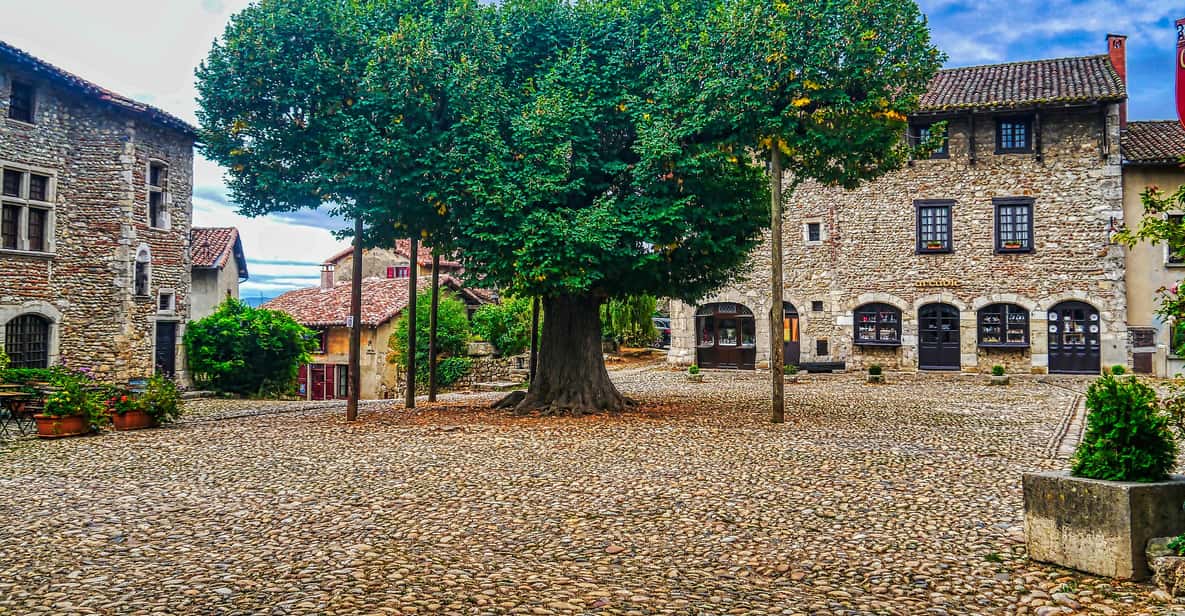 Arată : Odă la viață de către teiul bicentenar din Pérouges | GetYourGuide