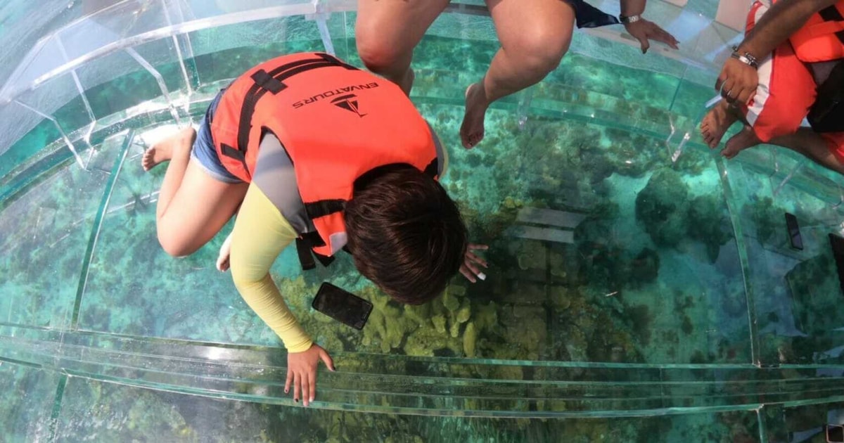 Cozumel: Cozel: Výlet lodí se skleněným dnem | GetYourGuide