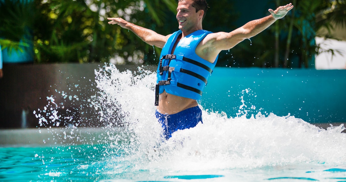 Swim with dolphins Premium - Interactive Aquarium | GetYourGuide