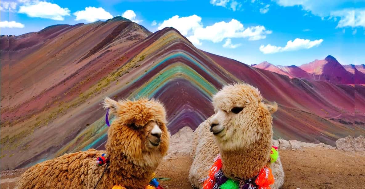 Cusco: Tour Destacado Montaña de Colores 1 día | GetYourGuide