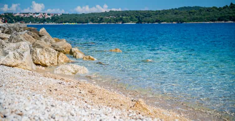 Pula:Sunset Dolphin tour with stop on one of Brijuni islands | GetYourGuide