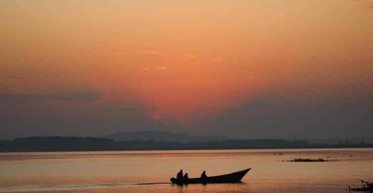 Mabamba Birding Tour with 3-course-Lunch at Mabamba Lodge. | GetYourGuide
